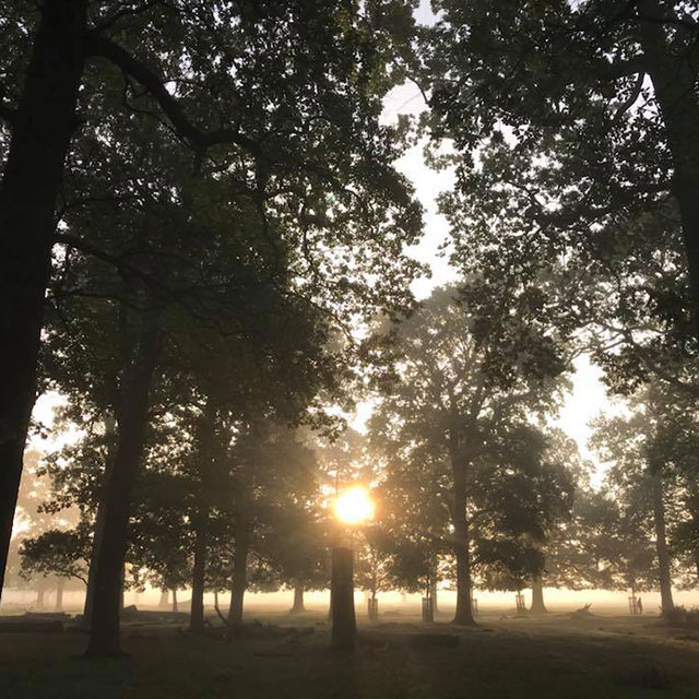 Trail Running in London